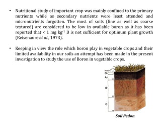 Importance and use of micro-nutrient 'Boron' in vegetable crops | PPTX