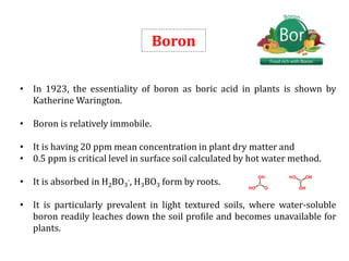 Importance and use of micro-nutrient 'Boron' in vegetable crops | PPTX