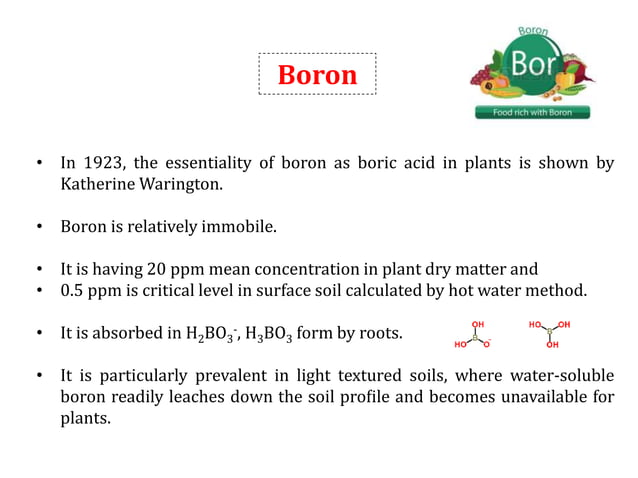 Importance and use of micro-nutrient 'Boron' in vegetable crops