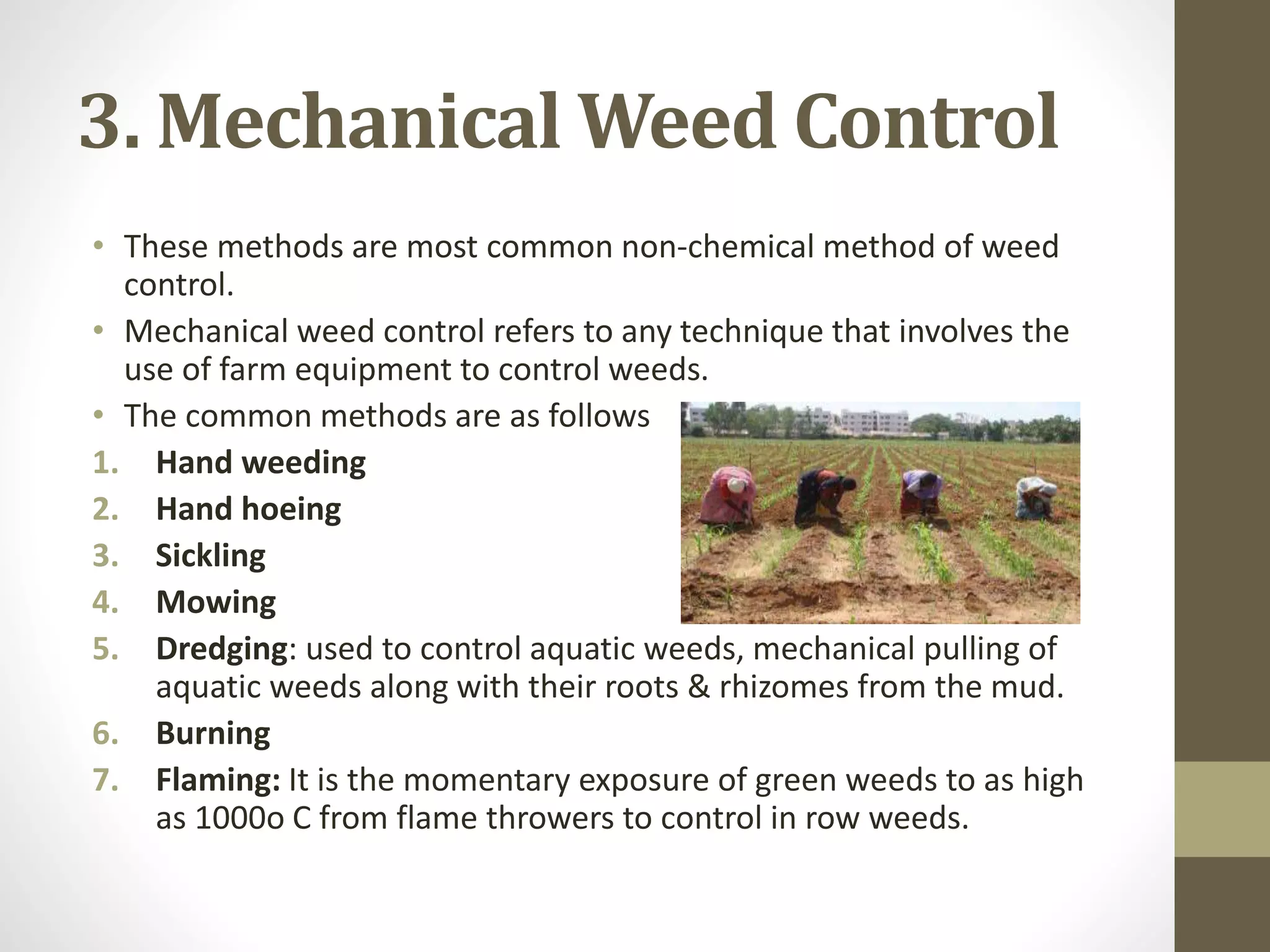 Weed Management in Organic Horticulture | PPTX