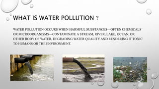 Water pollution and Cost Effective water pollution in rural areas | PPTX