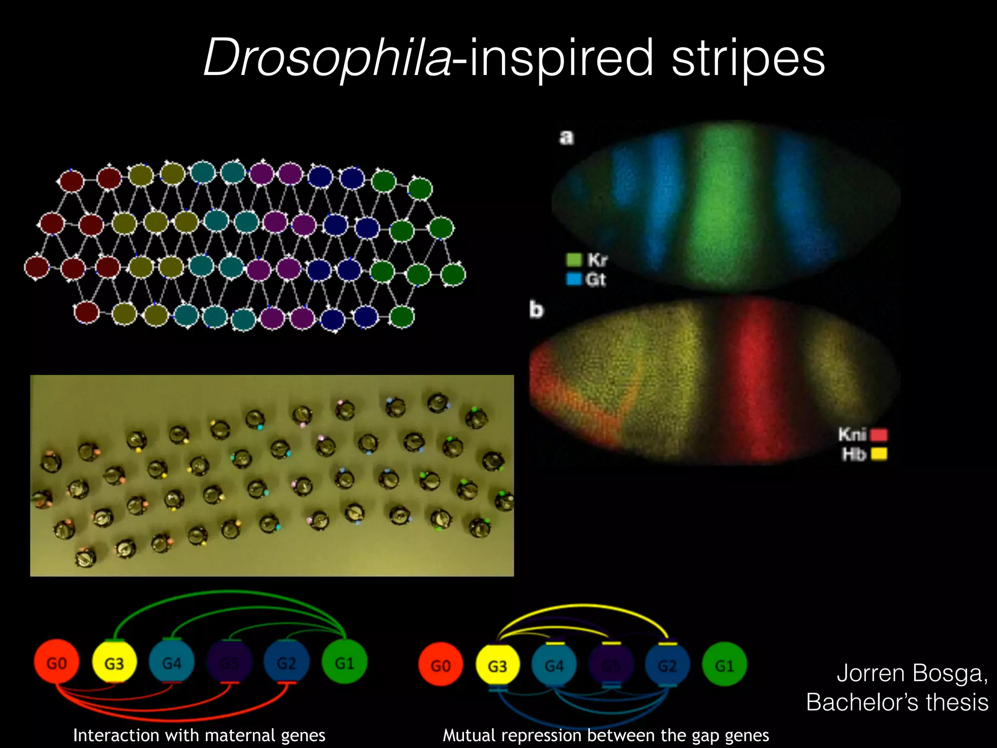 Swarming robots | PDF