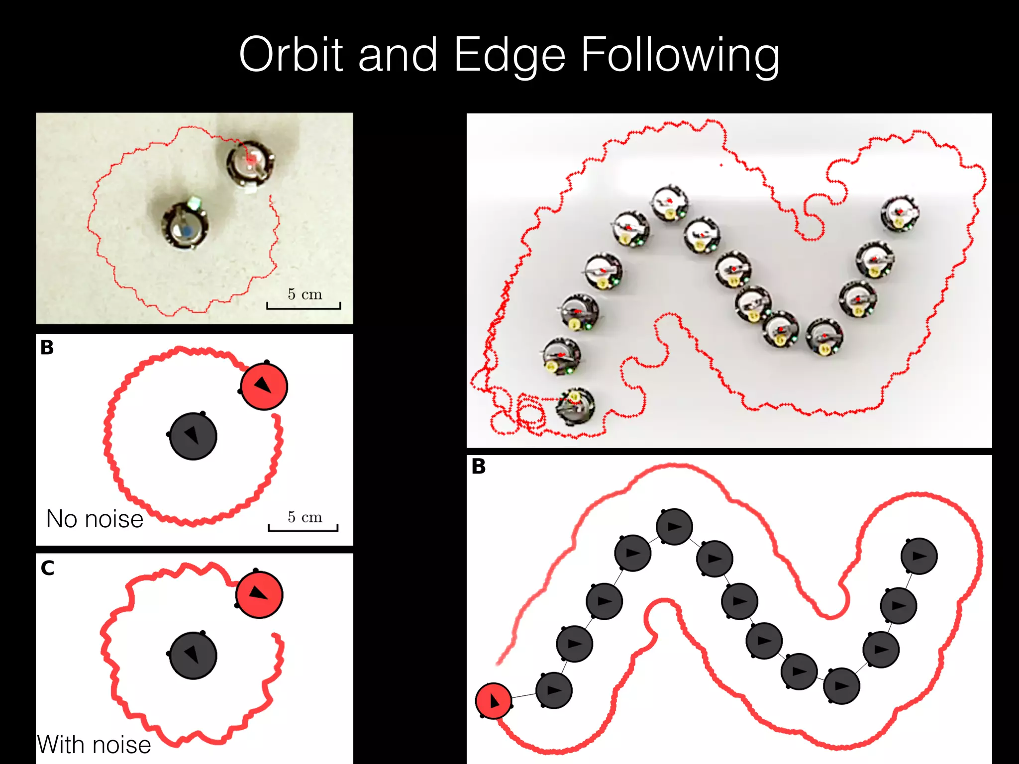 Swarming robots | PDF | Genetics | Science