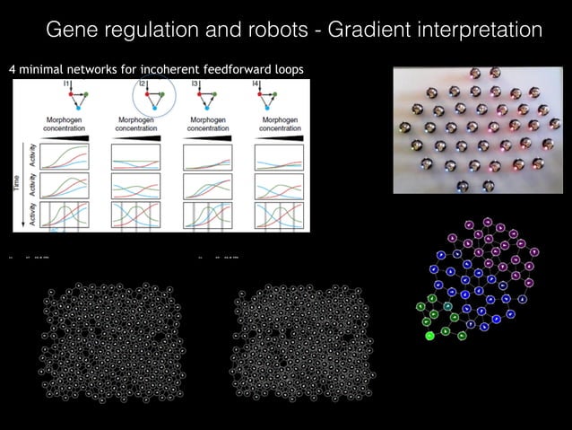 Swarming robots | PDF | Genetics | Science