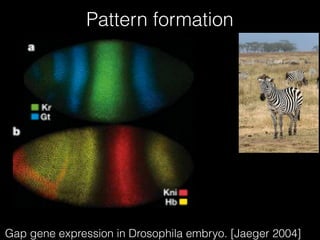Swarming robots | PDF | Genetics | Science