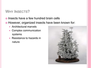Swarm intelligence | PPT