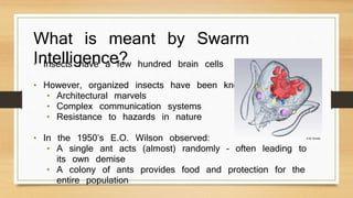 Swarm intelligence | PPTX