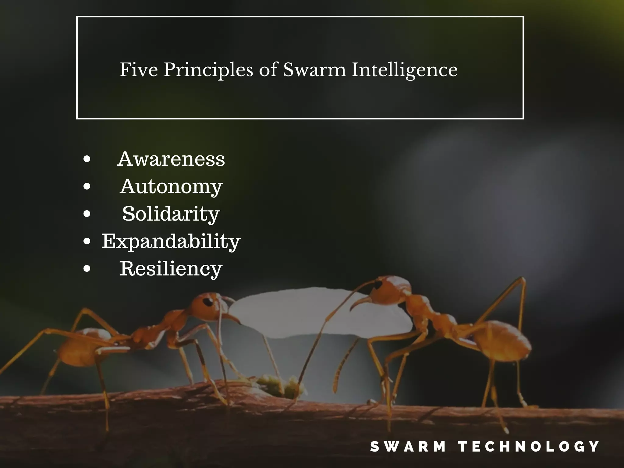 Swarm intelligence | PPT