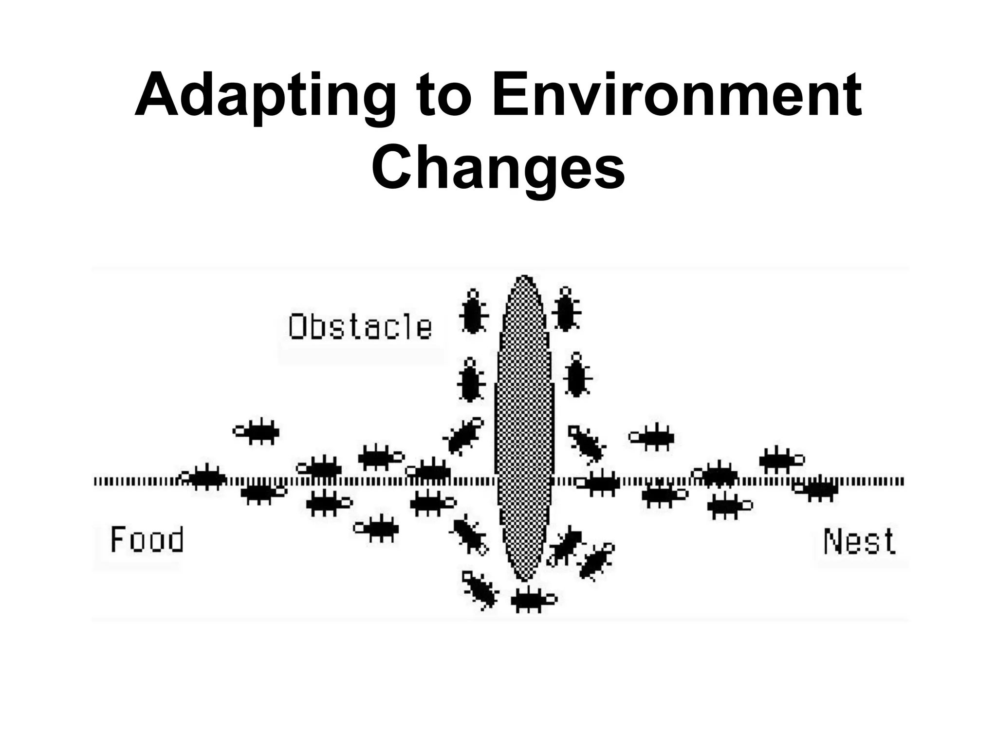 Swarm intelligence and particle swarm optimization | PDF