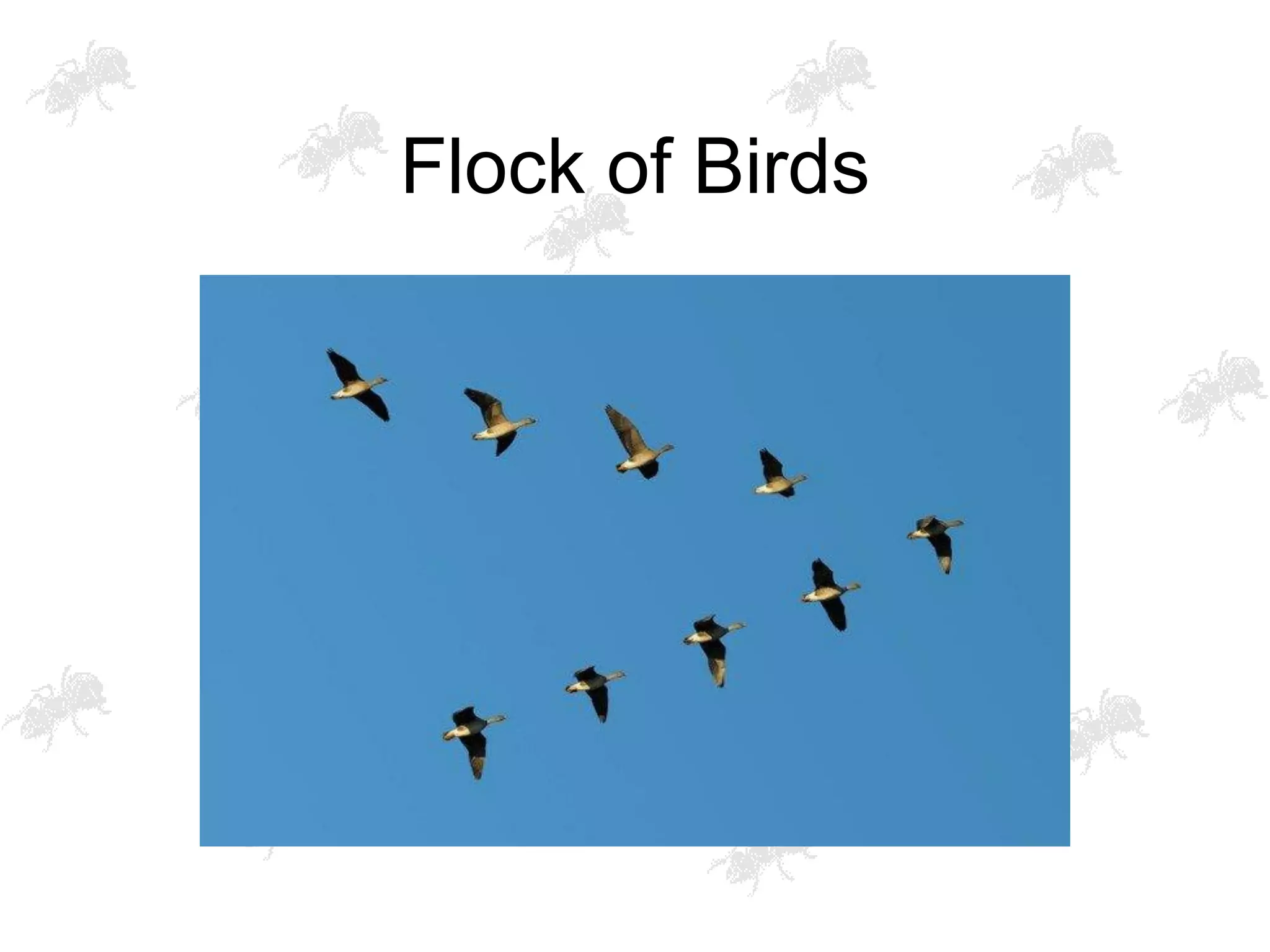 Swarm intelligence and particle swarm optimization | PPT