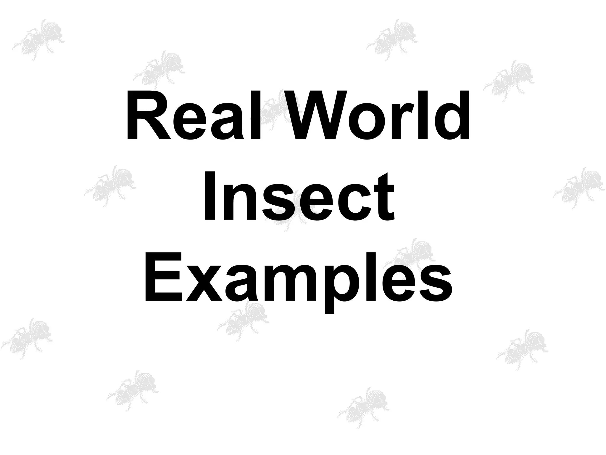 Swarm intelligence and particle swarm optimization | PDF