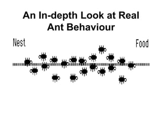 Swarm intelligence and particle swarm optimization | PDF