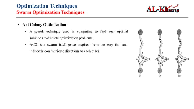 Swarm Optimization Techniques_ACO.pdf | Beekeeping | Hobbies & Interests