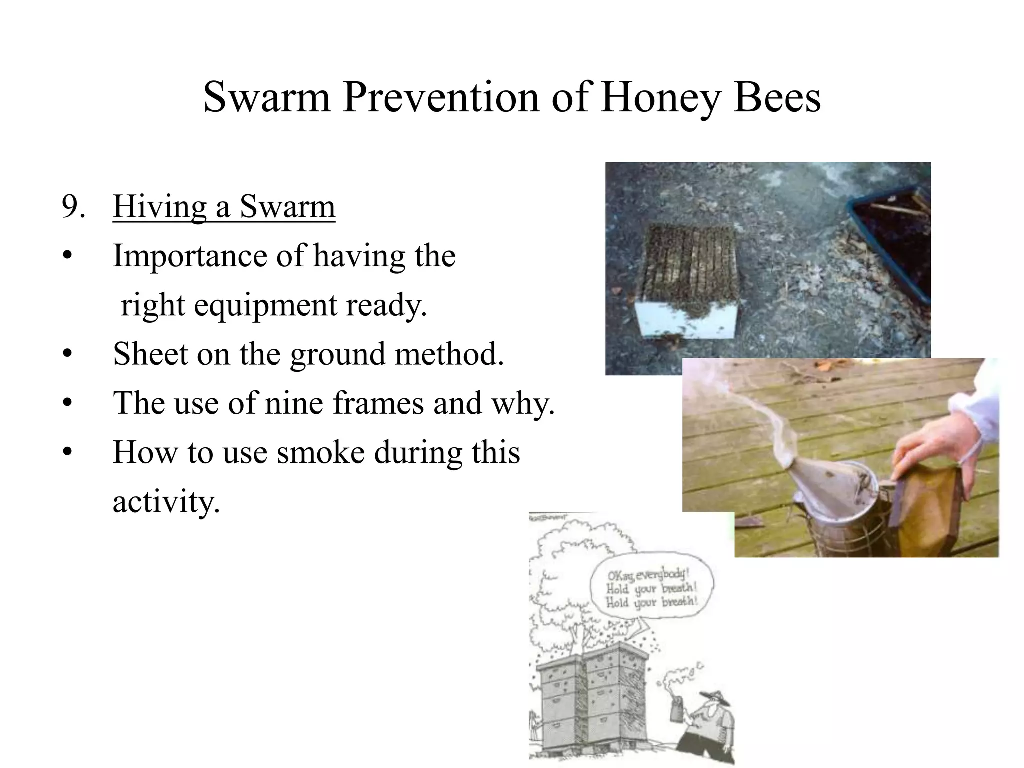 Swarm Prevention For Honey Bees | PPTX