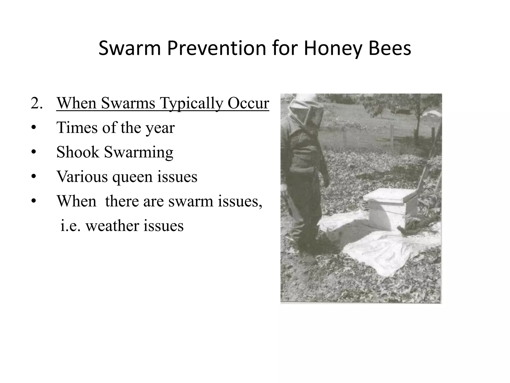 Swarm Prevention For Honey Bees | PPTX