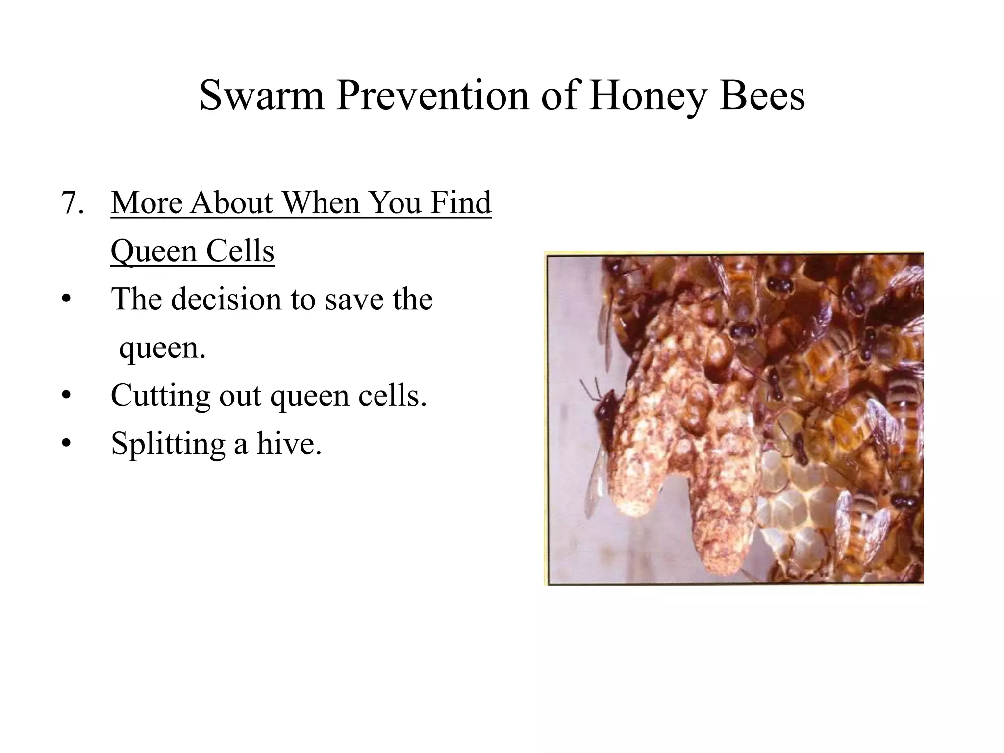 Swarm Prevention For Honey Bees | PPTX