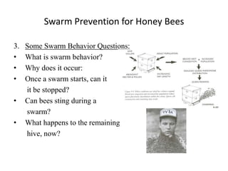 Swarm Prevention For Honey Bees | PPTX