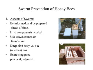 Swarm Prevention For Honey Bees | PPTX