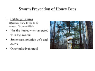 Swarm Prevention For Honey Bees | PPTX