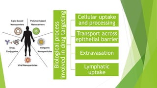 drug targetting types and processes | PPTX