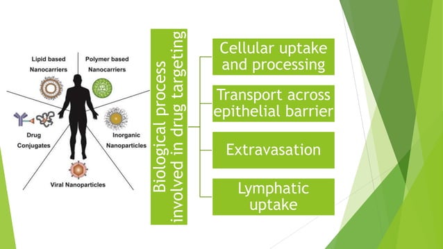 drug targetting types and processes | PPTX