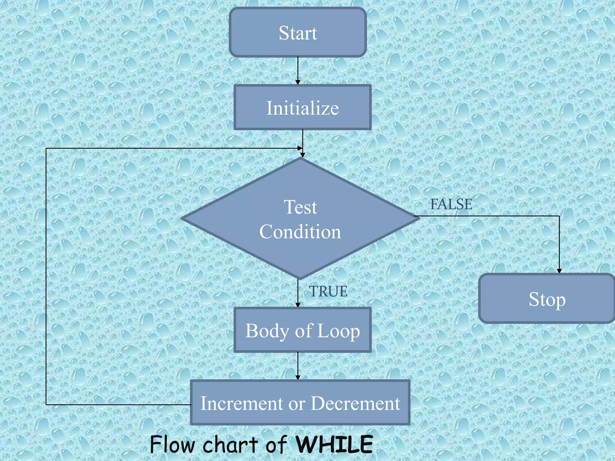 Decision Making Statement in C ppt | PPTX