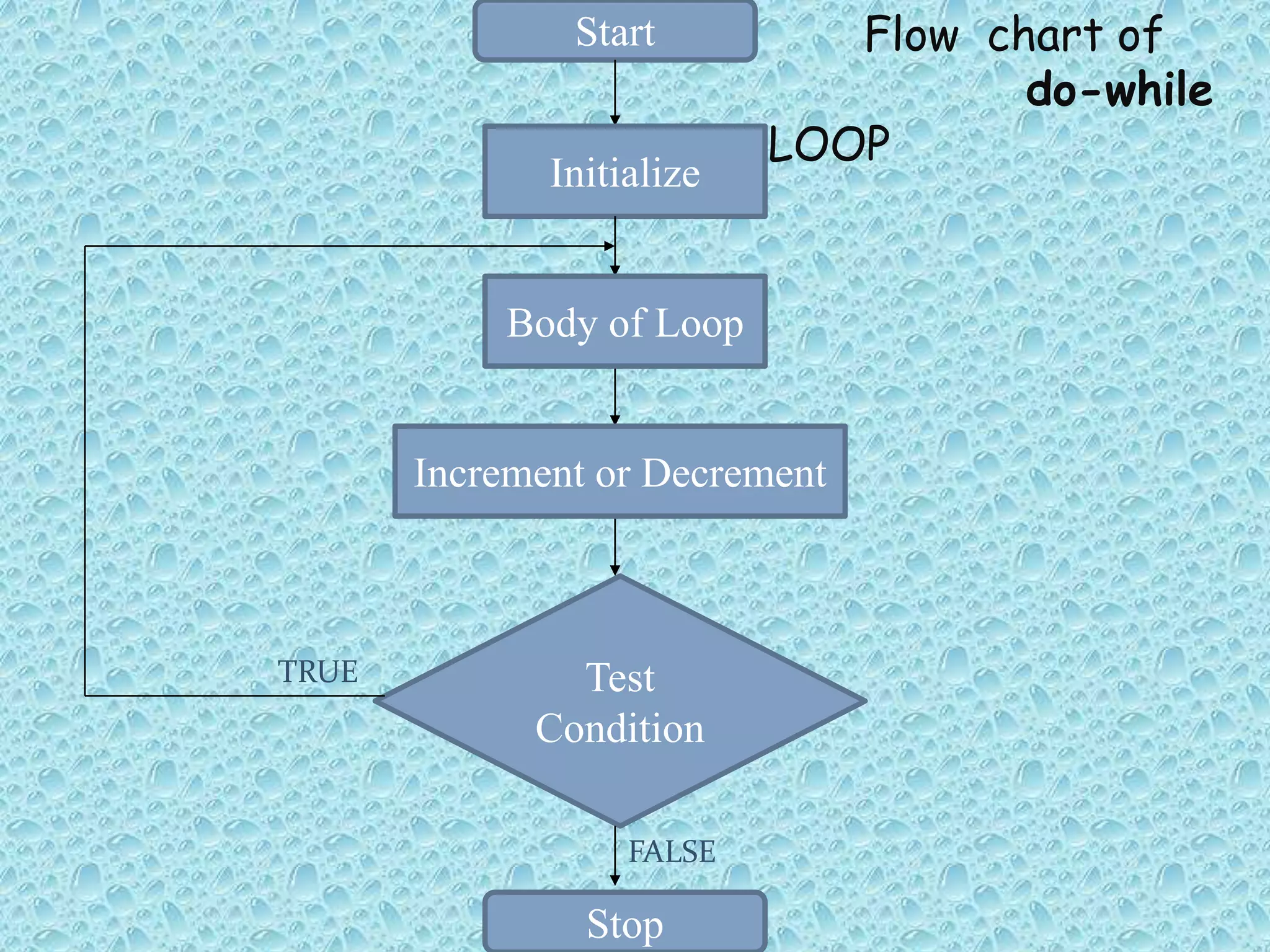 Decision Making Statement in C ppt | PPTX