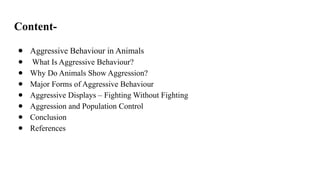 The Aggression Behaviour in animal behavioural biology | PPTX