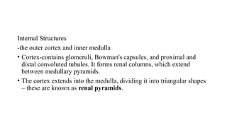 swastika Renal Scan nuclear medicine .pptx