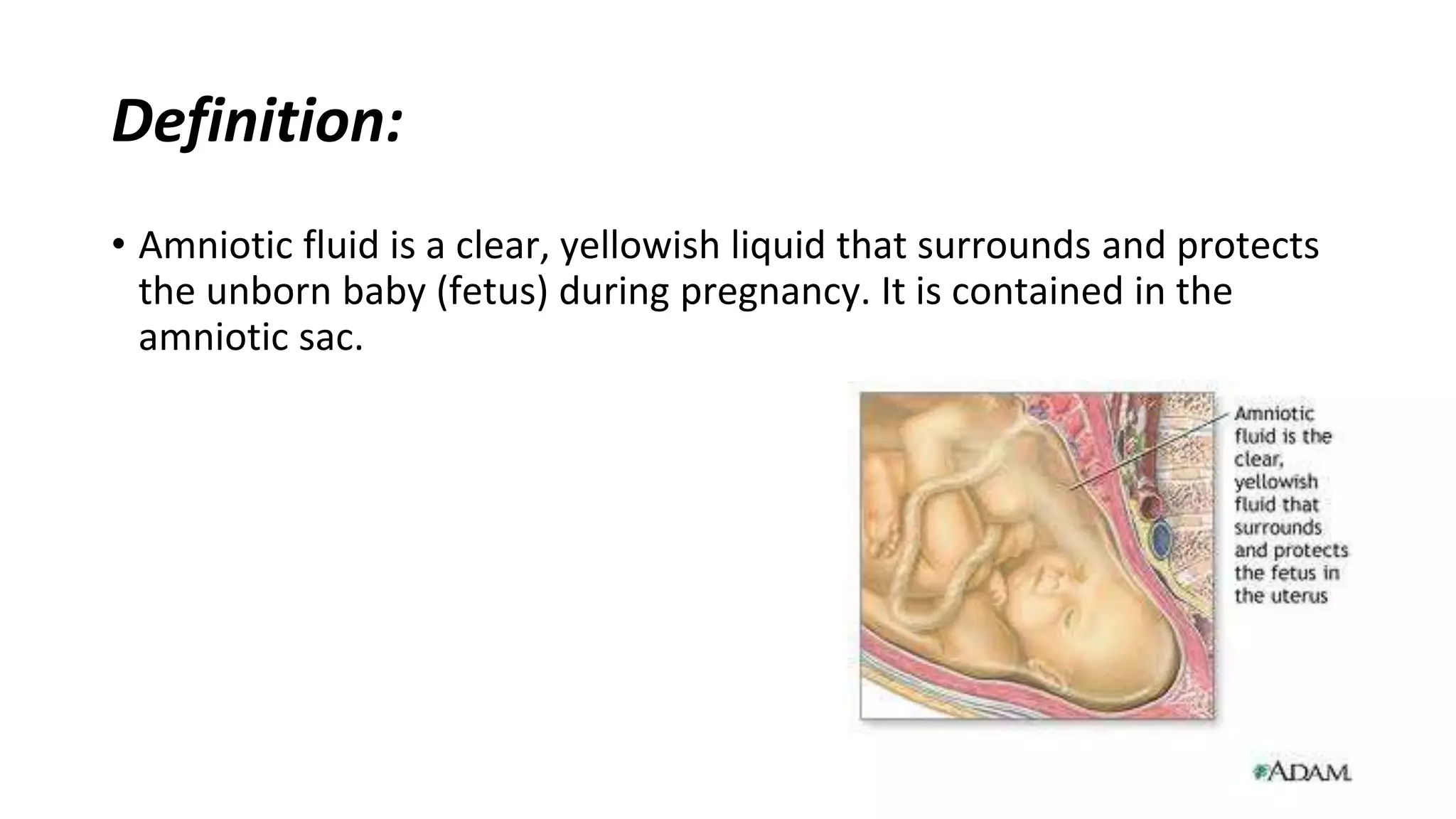 AMNIOTIC FLUID PPT | PPTX
