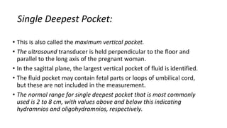 AMNIOTIC FLUID PPT | PPTX