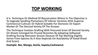 REJUVENATION THROUGH PROGENY ORCHAD AND SCION BANK | PPTX