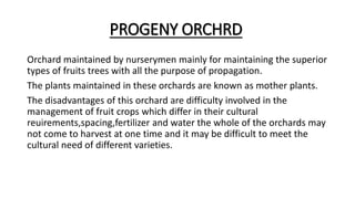 REJUVENATION THROUGH PROGENY ORCHAD AND SCION BANK | PPTX