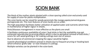 REJUVENATION THROUGH PROGENY ORCHAD AND SCION BANK | PPTX