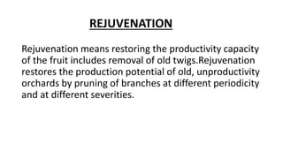 REJUVENATION THROUGH PROGENY ORCHAD AND SCION BANK | PPTX