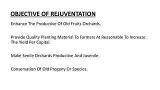 REJUVENATION THROUGH PROGENY ORCHAD AND SCION BANK | PPTX