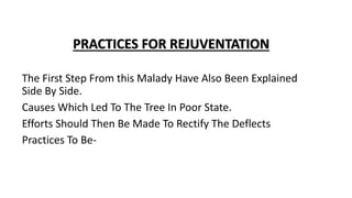 REJUVENATION THROUGH PROGENY ORCHAD AND SCION BANK | PPTX