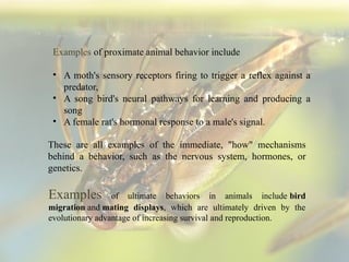 Comprehensive Overview of Insect Orientation and Behavioral Causes | PPTX