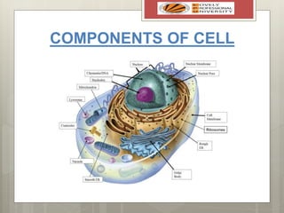 CELL: THE FUNDAMENTAL UNIT OF LIFE | PPTX