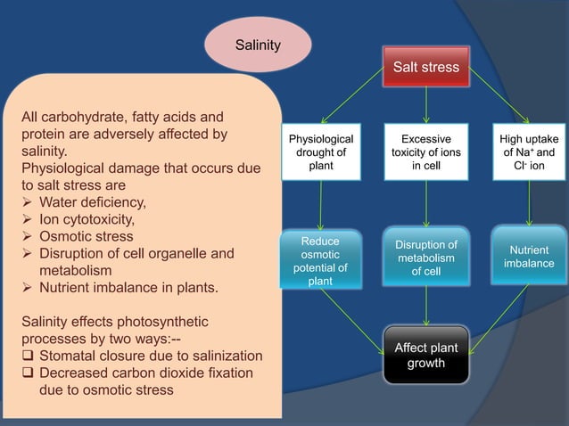 Environmental Stress and Microorganisms | PPTX