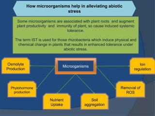 Environmental Stress and Microorganisms | PPTX