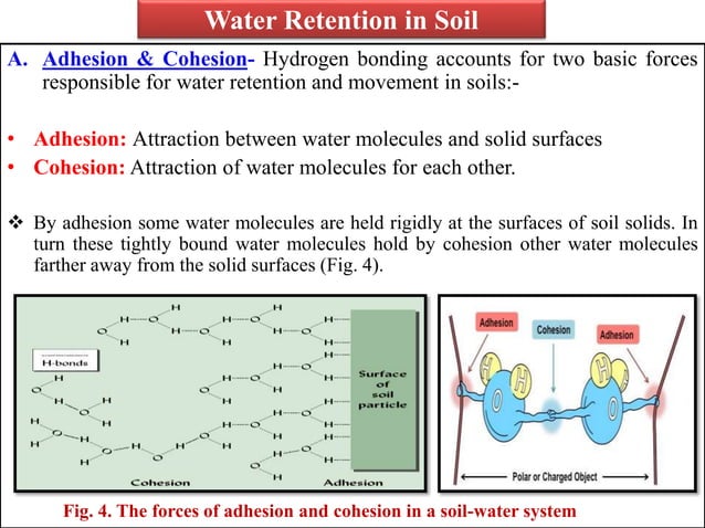 Soil -water -plant relationship | PPTX