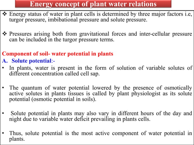 Soil -water -plant relationship | PPTX