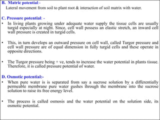 Soil -water -plant relationship | PPTX