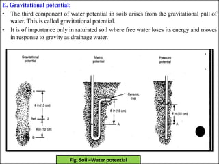 Soil -water -plant relationship | PPTX