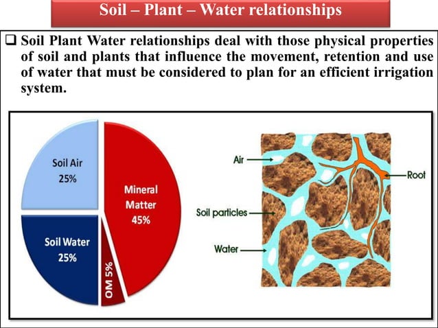 Soil -water -plant relationship | PPT