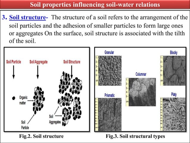 Soil -water -plant relationship | PPT