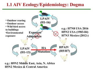 Swayne, High Path AI | PPT