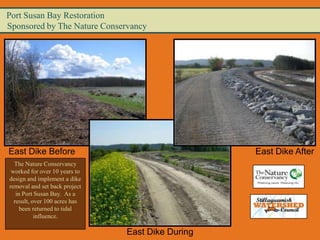 SWC2012Projects-portsusan | PPT | Free Download