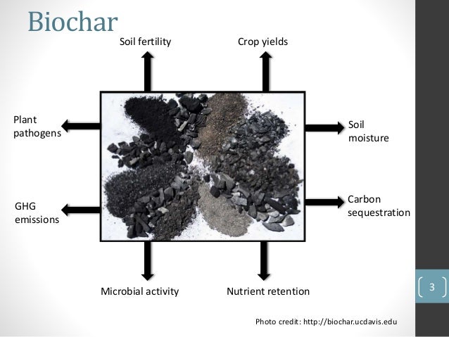 Influence of Biochar and Diversified Cropping Systems on Soil Physica…